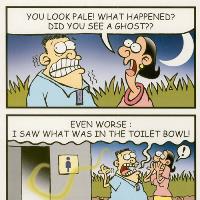 Public Toilet Cleanliness